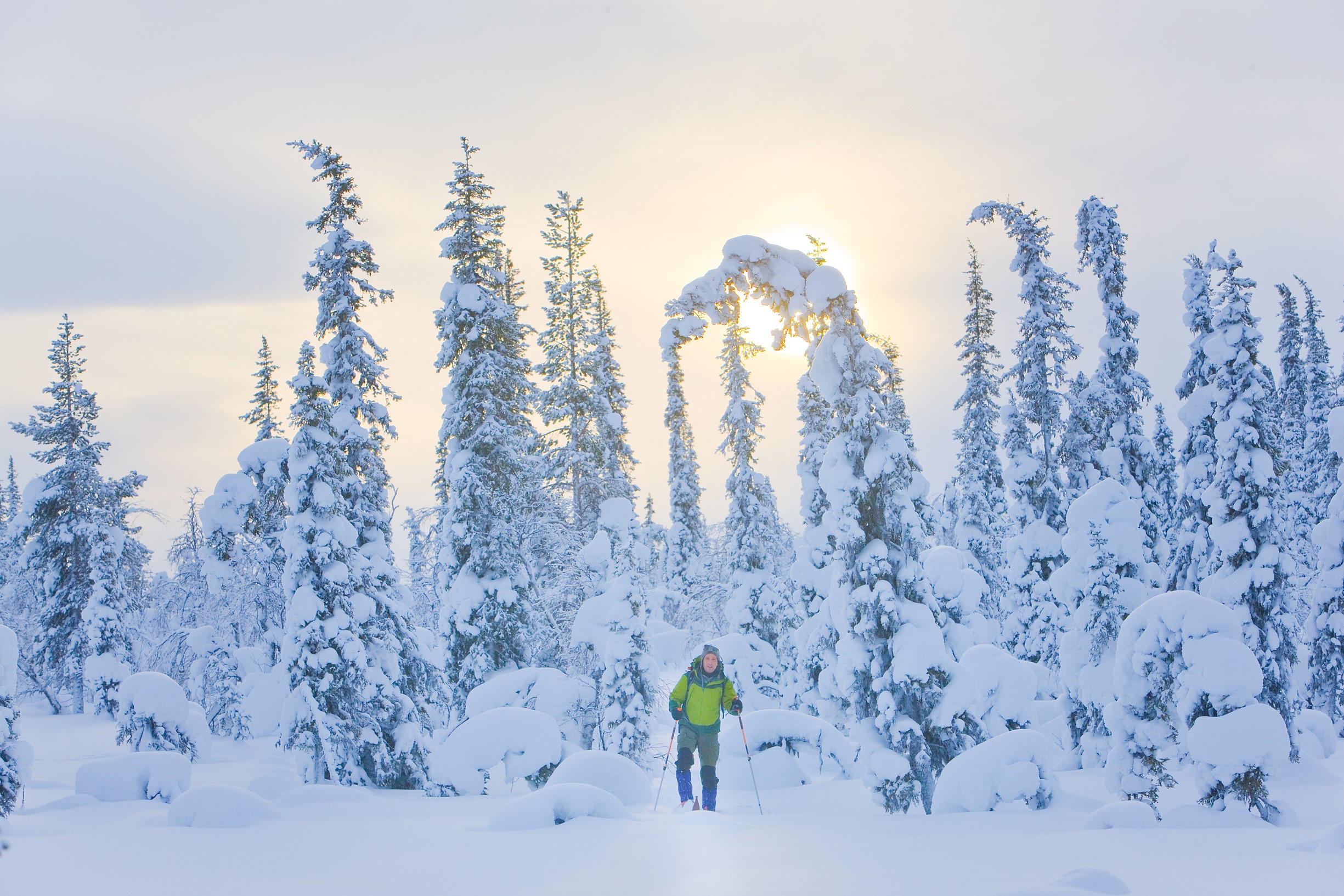Treehotel.se - Explore the magnificent arctic forest on skis